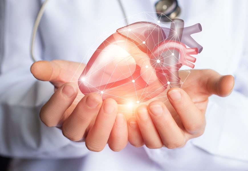 What happens during the Transcatheter Aortic Valve Replacement ...