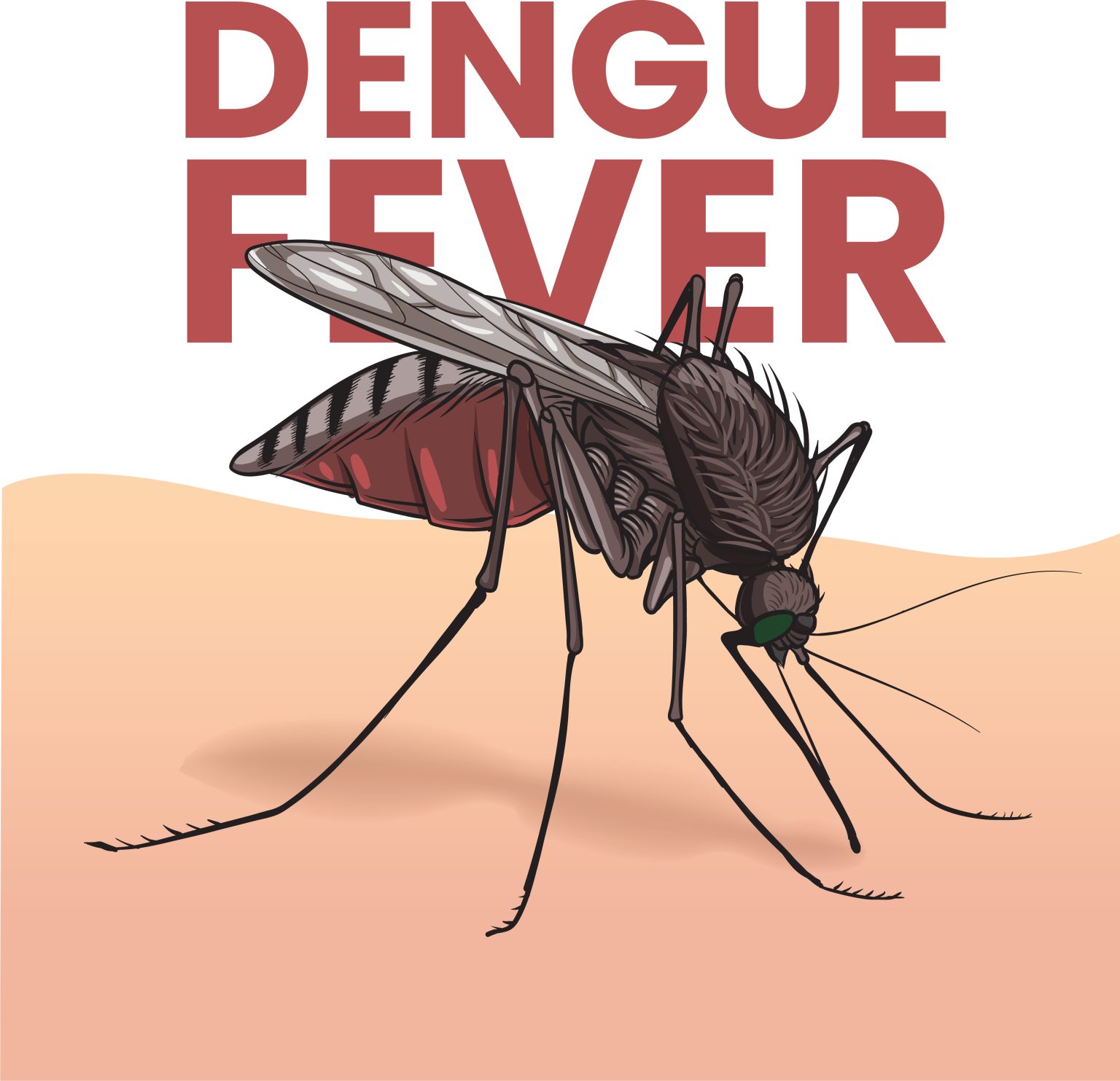 Understanding Dengue and Dengue Hemorrhagic Fever: Key Differences ...
