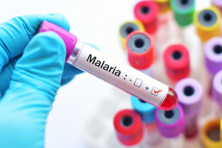 Understanding Malaria: Causes, Symptoms, and Prevention | Add More to Lives